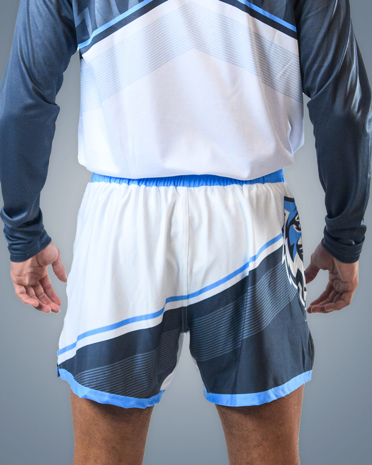 PRO SERIES FIGHT SHORTS – Compound Sportswear